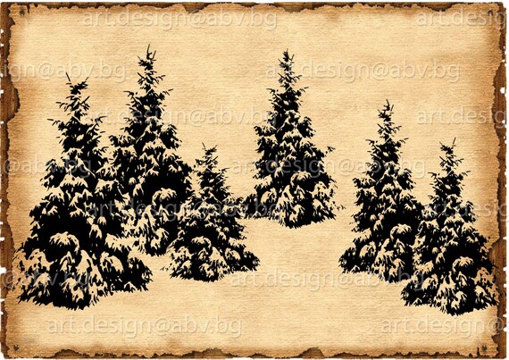 Vector CONIFERS evergreen AI PNG eps pdf svg dxf jpg