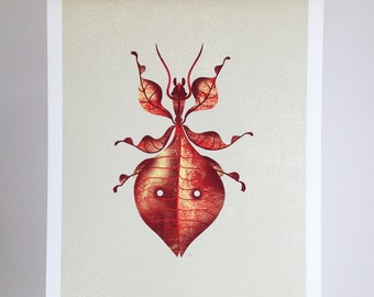 Print The Emperor Dragonfly Pencil Drawing