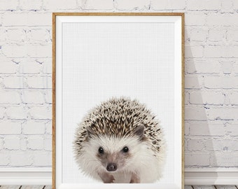 Hedgehog poster | Etsy
