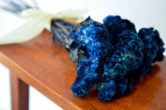 Bunch of blue cockscomb blue dried flowers blue celosia
