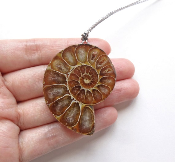 Ammonite Ammolite Fossilized Shell Pendant with Drilled by migem