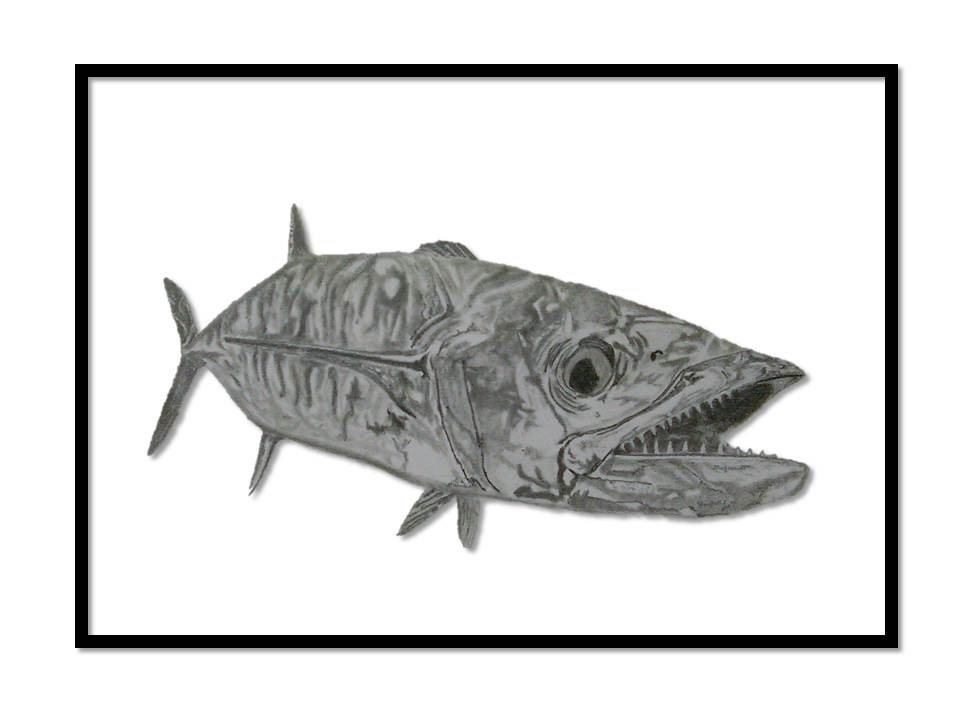King Mackerel 9X12 Original Drawing King Mackerel Fish