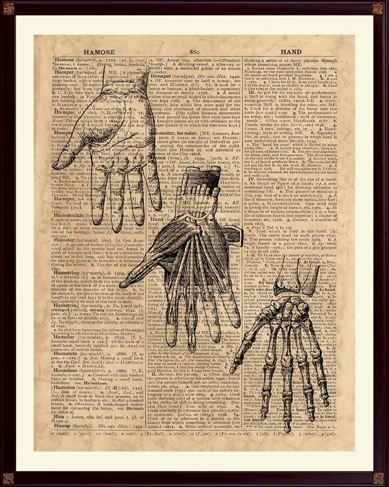Hand Anatomy Print Human Hand Poster Medical Decor Hand