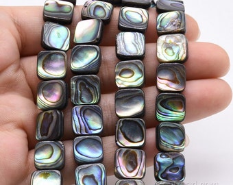 Rainbow shell | Etsy