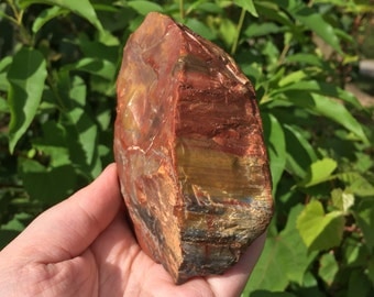 Petrified wood | Etsy