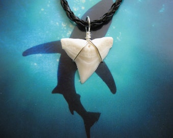 The Shark Tooth Shop by TheSharkToothShop on Etsy