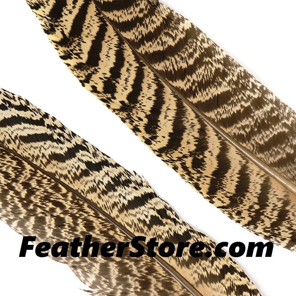 Supplying Quality Feathers for over 70 Years by OnlineFeathers