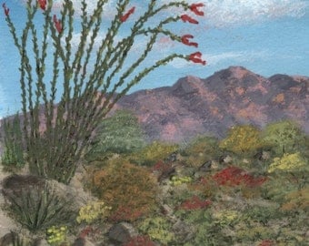 Ocotillo | Etsy