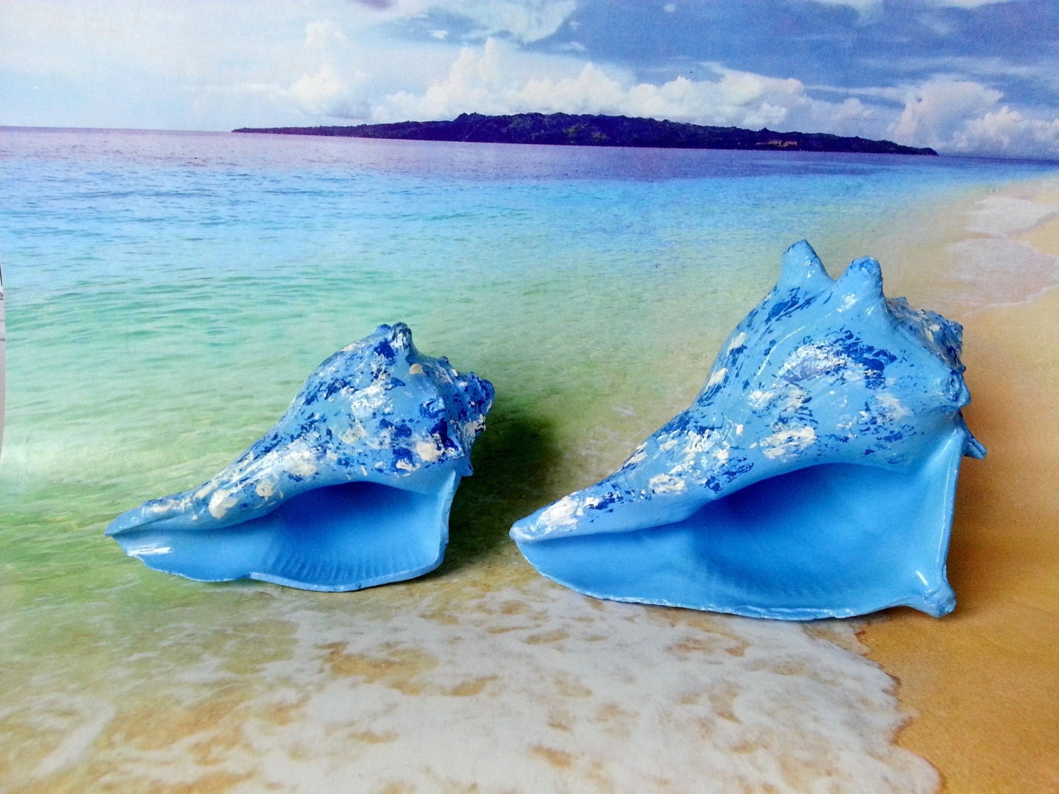 Blue conch shells hand painted seashell home decor sea shell