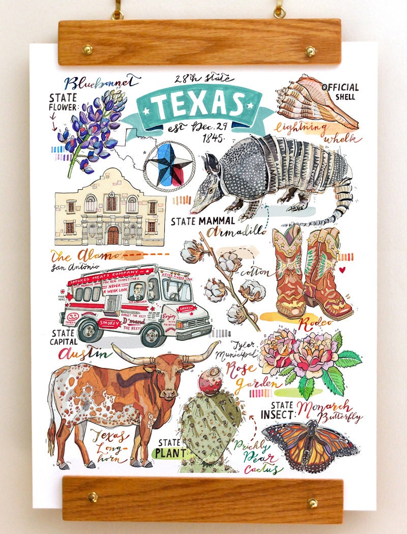 Texas Print illustration state symbols the Lone Star State