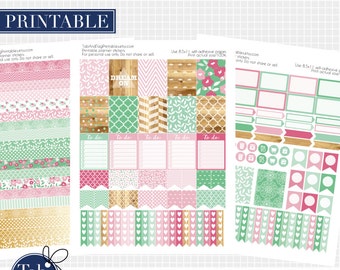 Printable planner stickers by TabAndTagPrintables on Etsy