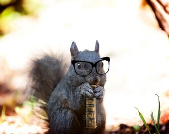 Unique squirrel in glasses related items | Etsy