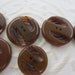 Vintage Buttons Mid Century Modern matching browns Bakelite