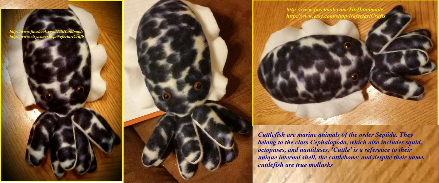 Cuttlefish Plush Cuttle Fish to Cuddle Hand by NefertariCrafts