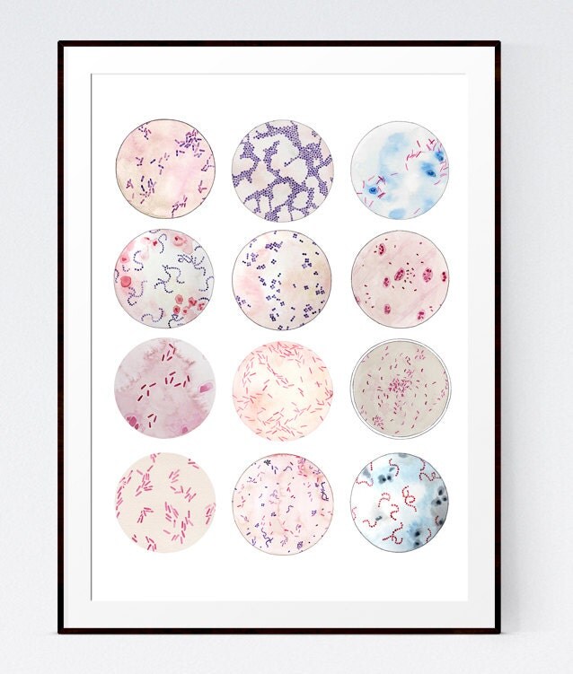 Microbe Collection Bacteria Bacteria Art Science by sandraculliton
