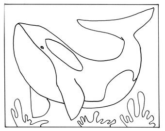 Orca coloring | Etsy