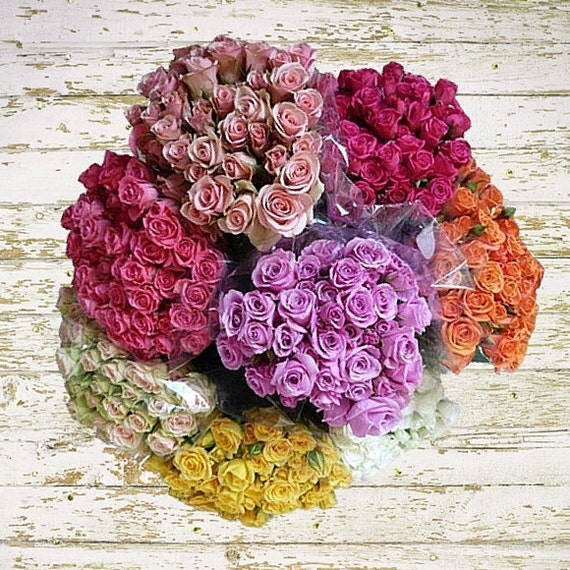 Rose Spray in Assorted Colors Fresh Cut Live by ButtercupOrganics