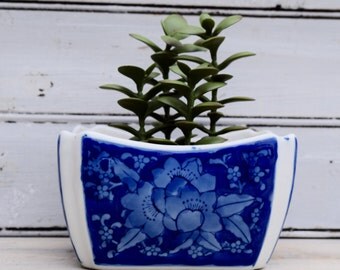 Cobalt blue planter | Etsy