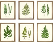 Botanical Print Shop by BotanicalPrintsShop on Etsy