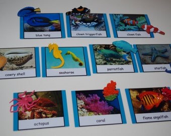 3-Part Cards & Montessori Inspired Activities by TheLaminatrix