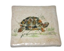Popular items for tortoise gifts on Etsy