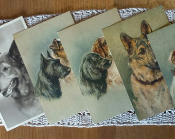 Vintage dog postcard | Etsy