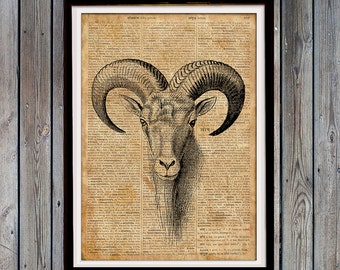 Goat decor | Etsy