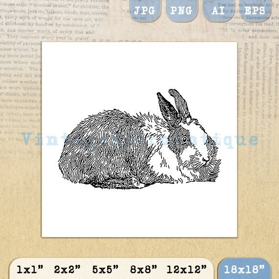 Digital Angora Rabbit Printable Download by VintageRetroAntique