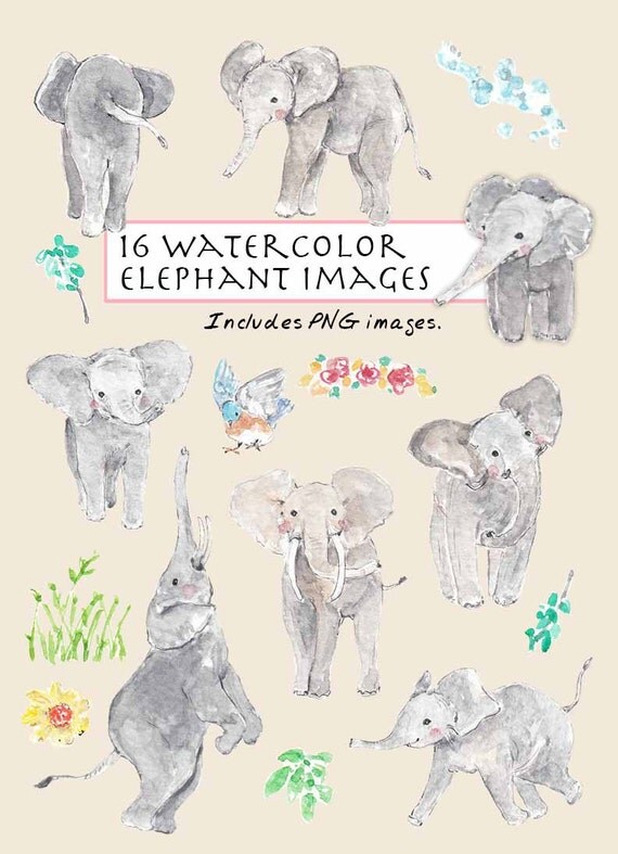 CLIP ART Watercolor Elephant Set. 16 Images. Digital