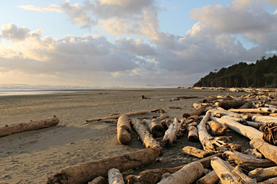 Pacific Northwest PNW Beach Art Photography Olympic National