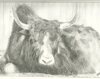 Printed pencils | Etsy