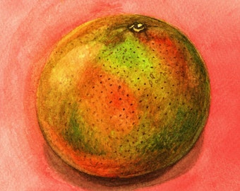 Grapefruit painting | Etsy