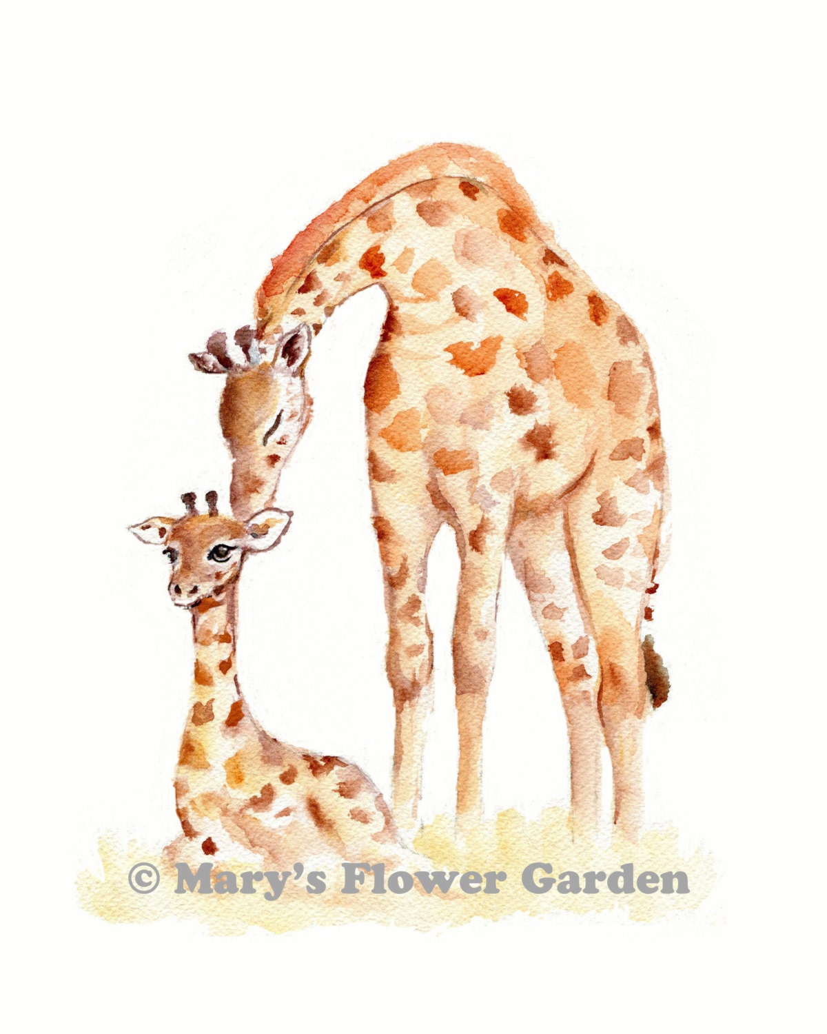 Baby nursery decor giraffe print giclee print baby giraffe