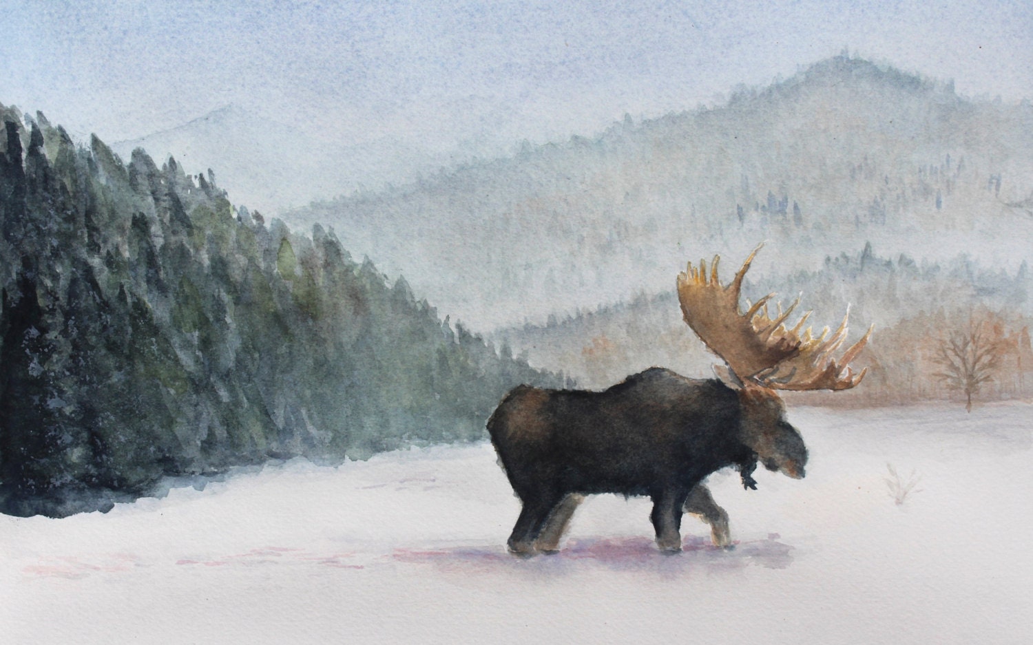 Moose Watercolor Print Wildlife New Hampshire New