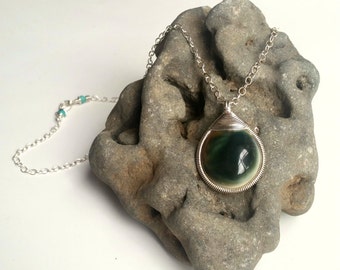 Cats eye shell | Etsy