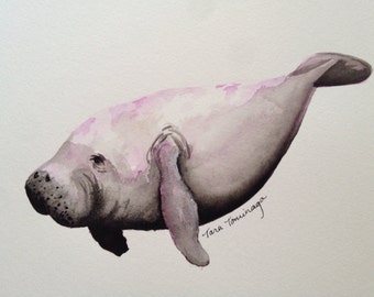 Manatee watercolor | Etsy