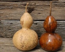 Unique gourd crafts related items | Etsy