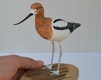 American avocet | Etsy