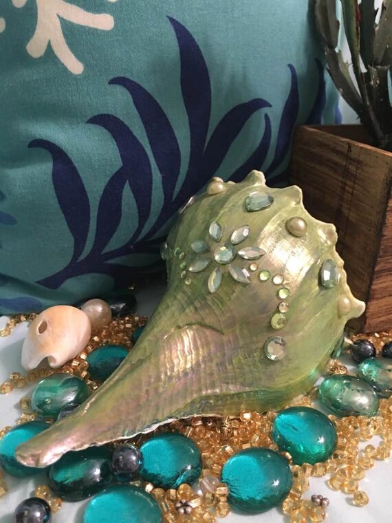 blue green sea shell/large