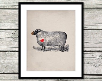 Antique sheep print | Etsy