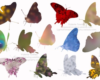 Butterfly clip art | Etsy