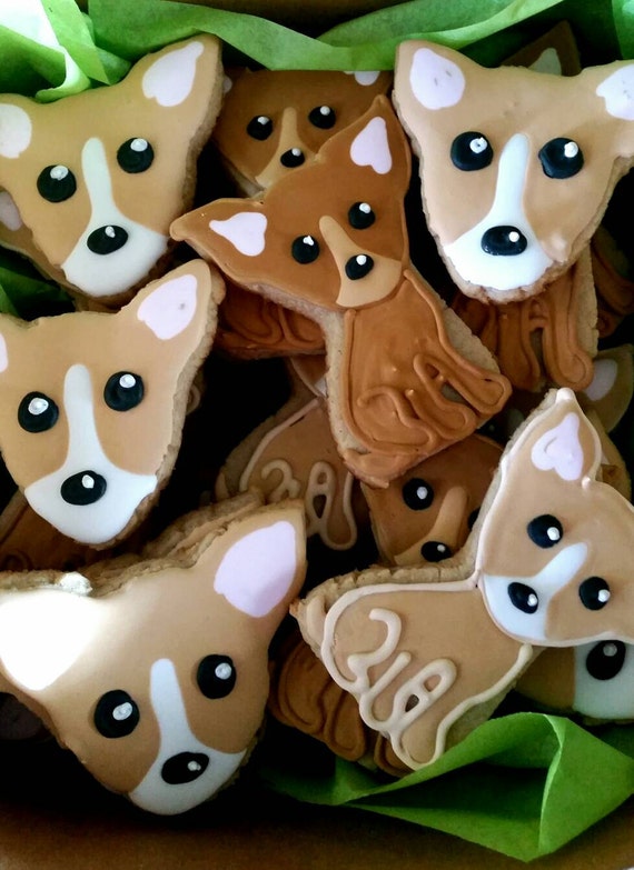 Chihuahua cookies 12