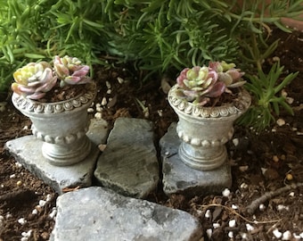 Fairy garden planter | Etsy