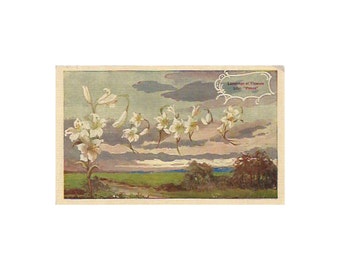 Scenic postcards | Etsy
