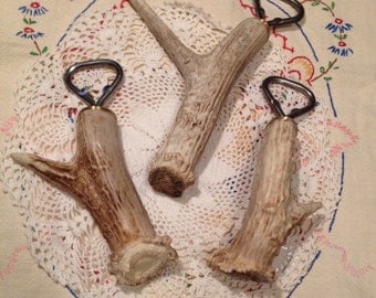 Antler pedicle | Etsy