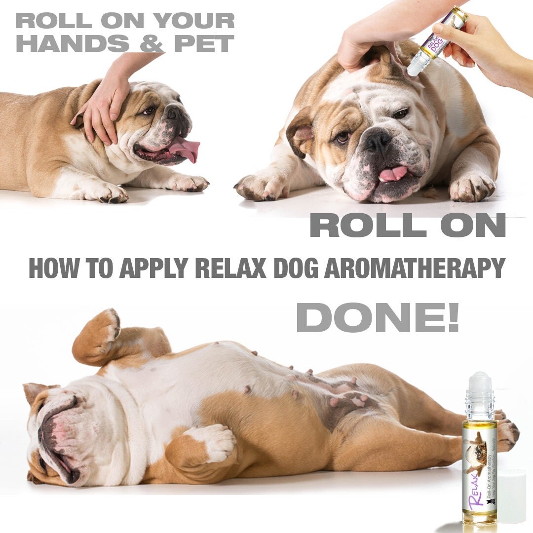 AUSTRALIAN SHEPHERD RELAX Dog Aromatherapy by TheBlissfulDog