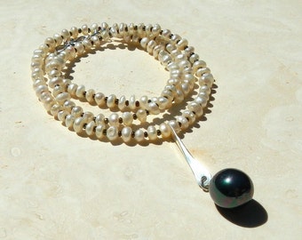 Peacock shells | Etsy