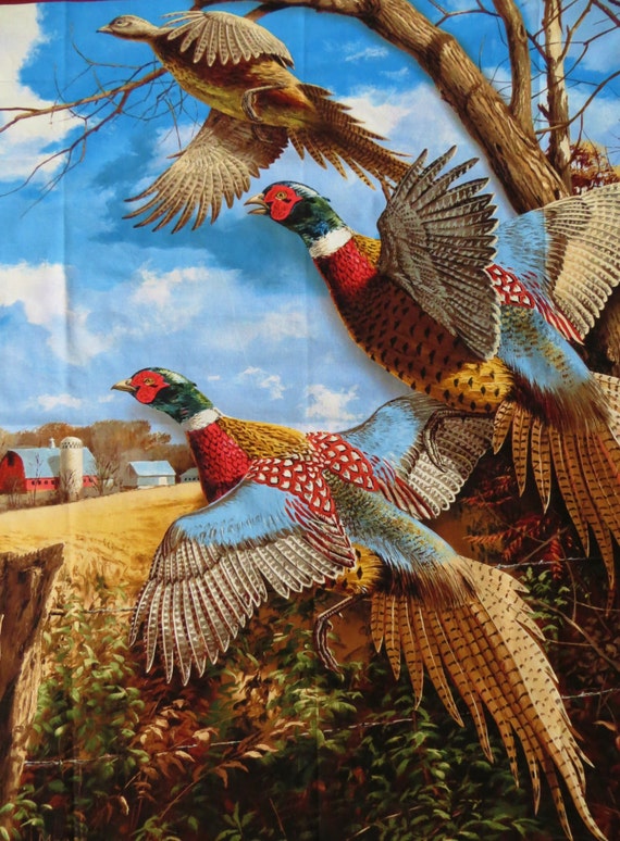 Pheasant Fabric Panel Crested Ringneck Wild Wings David