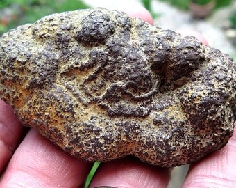 Iron concretion | Etsy