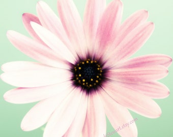 Mint green flower | Etsy